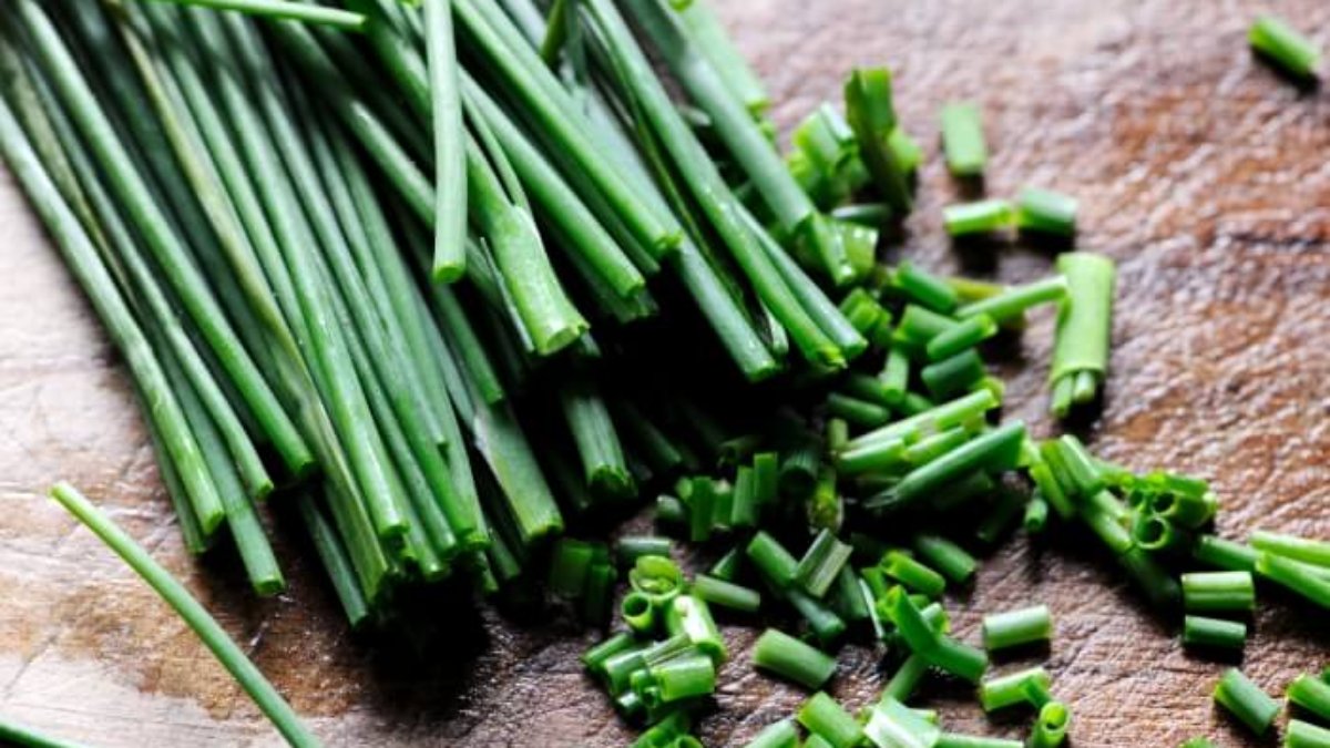 Conozca cuáles son las propiedades del cebollín para la salud ...