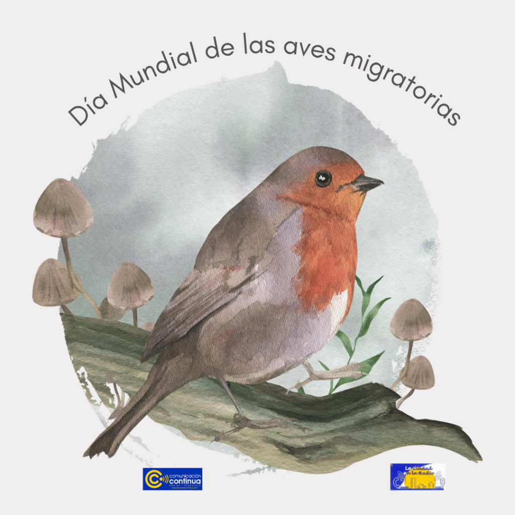 Día Mundial de las Aves Migratorias - Comunicación Continua